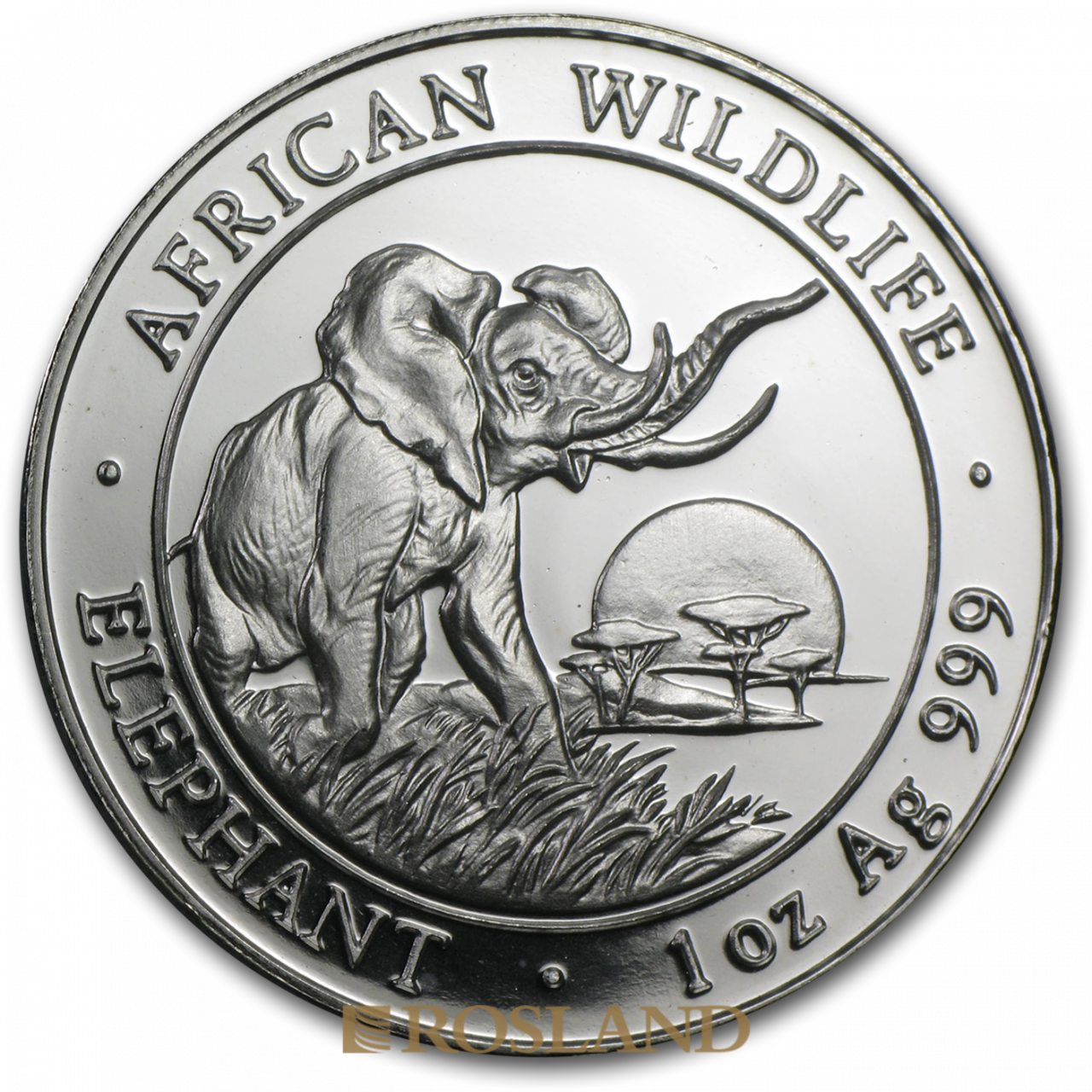2009 - Somalia Elefant Silber